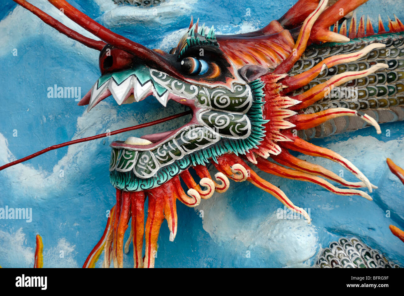 Chinese Fire Dragons