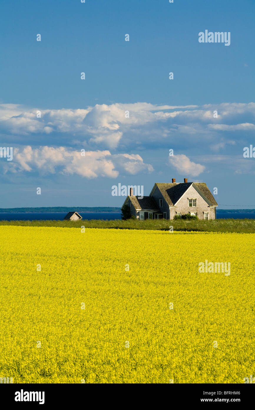 Guernsey farm house hi-res stock photography and images - Alamy