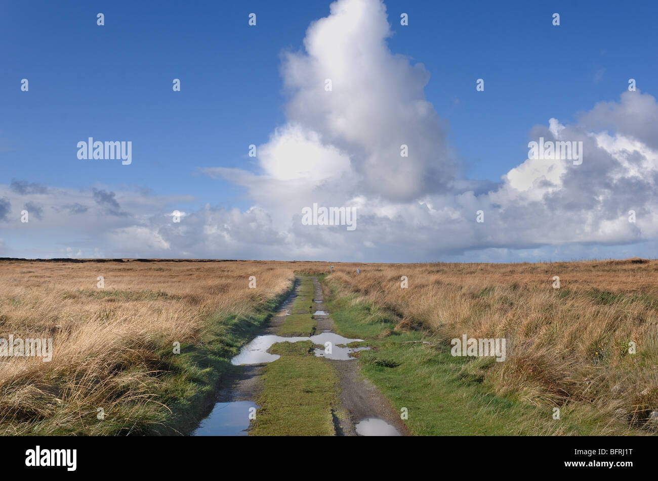 Wet farm track hi-res stock photography and images - Alamy
