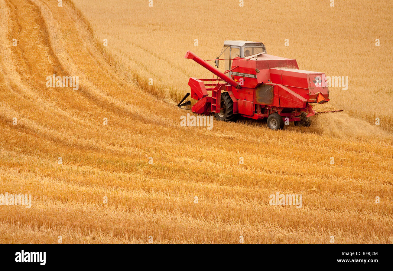 Combine harvester at work , Finland Stock Photo - Alamy