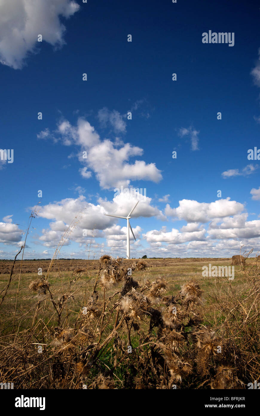 Shrivenham wiltshire hi-res stock photography and images - Alamy