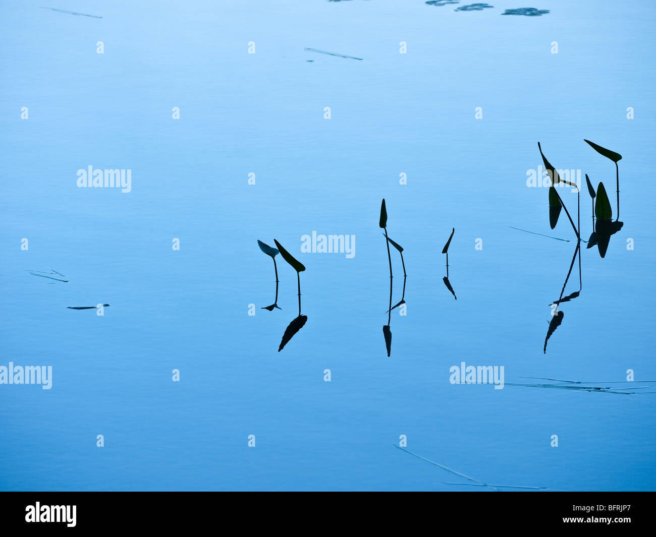 Sabattus lake hi-res stock photography and images - Alamy