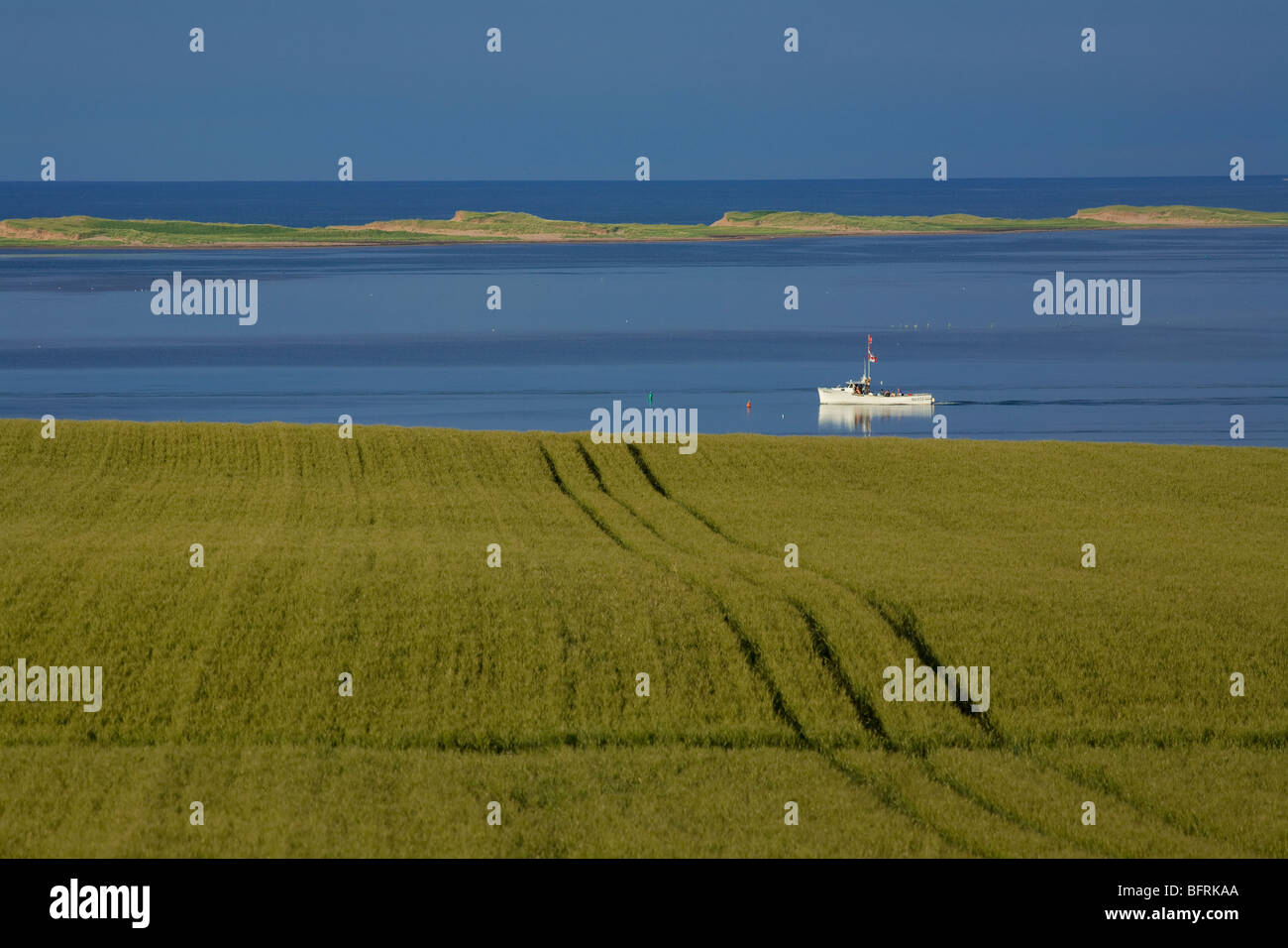 St bay prince edward island hi-res stock photography and images - Alamy