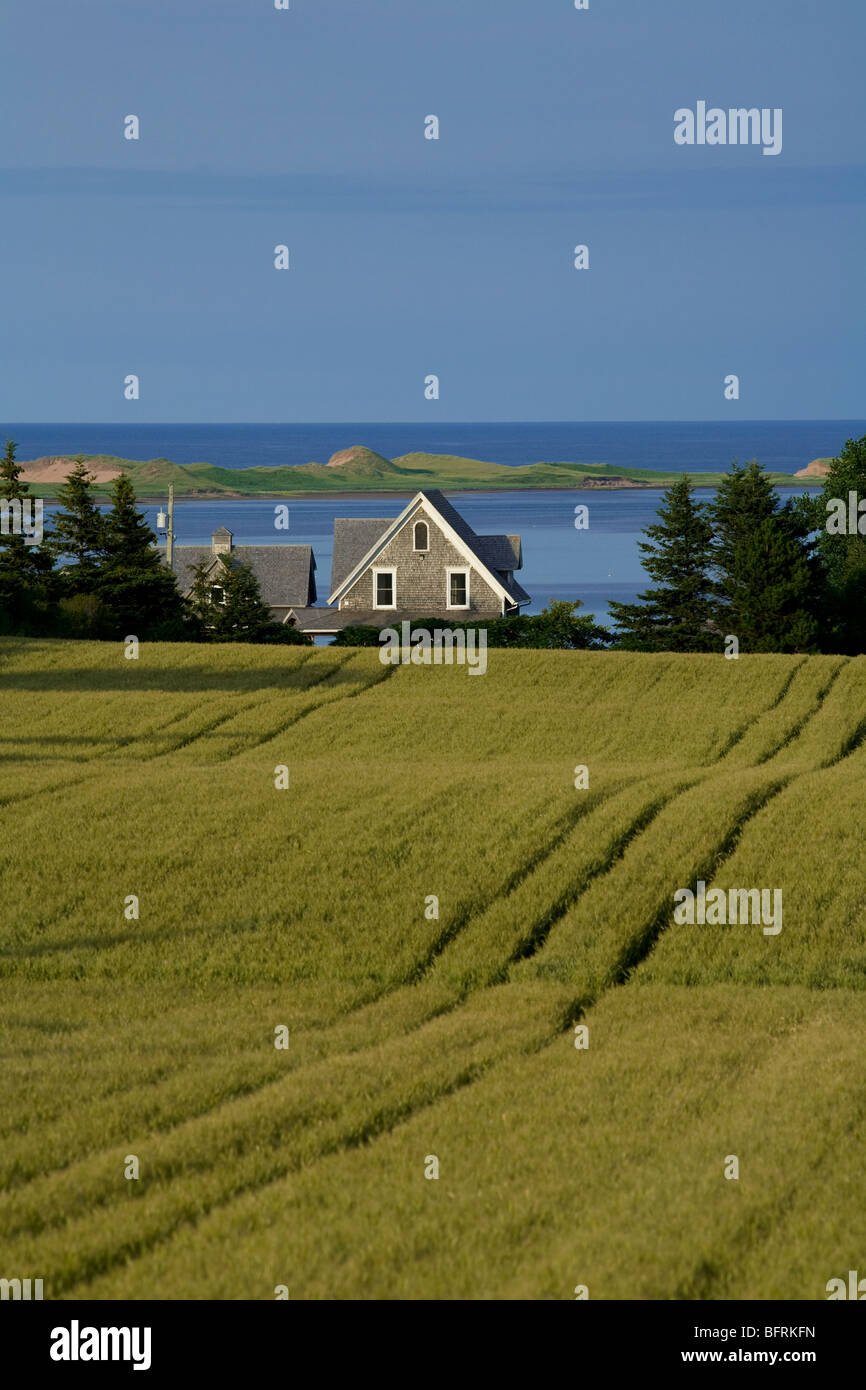 Springbrook, Prince Edward Island, Canada Stock Photo - Alamy