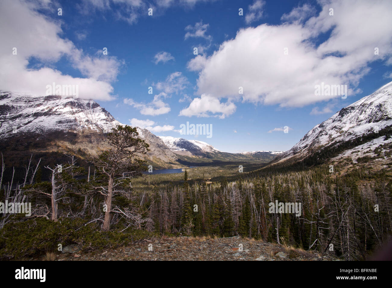 Two Medicine Valley from Aster Park Overlook. Glacier National Park ...