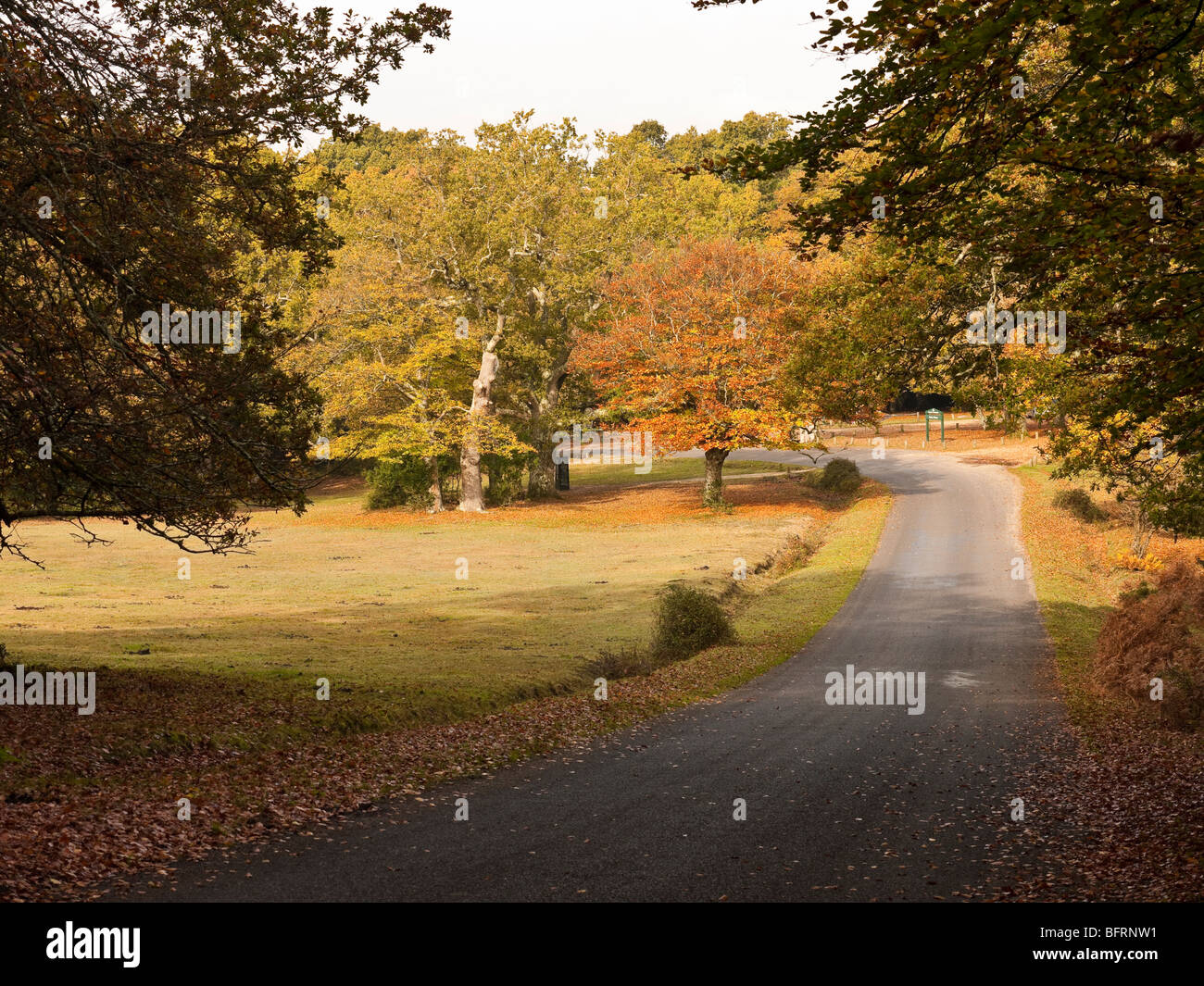 Rufus stone hi-res stock photography and images - Alamy