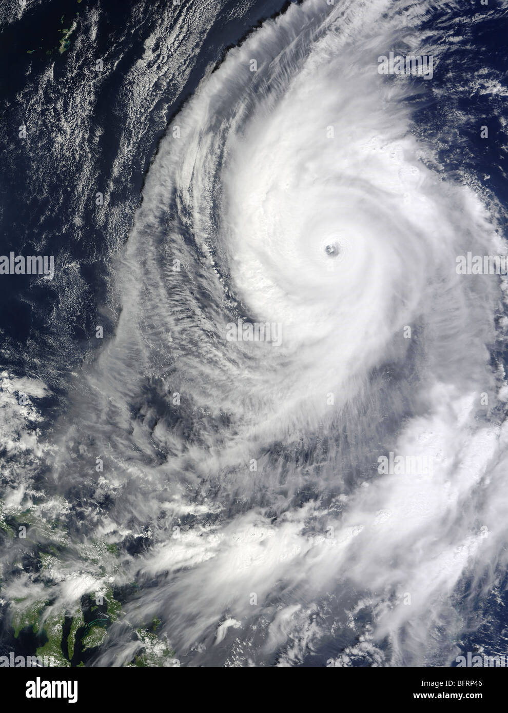 Lupit hi-res stock photography and images - Alamy