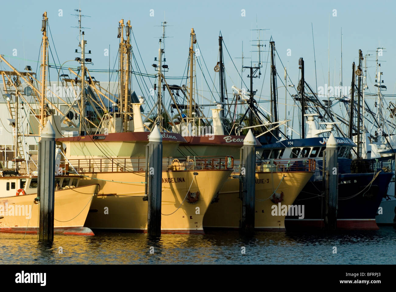 Tuna fishing fleet, Port Lincoln, Eyre Peninsula, South Australia Stock ...
