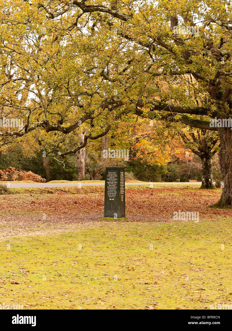 Rufus Stone marks the spot where King William II was killed by an arrow ...