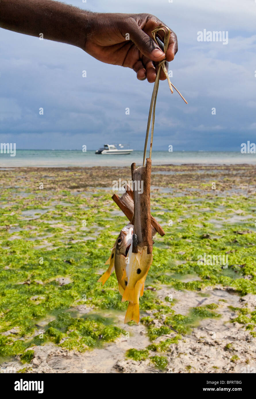 Kenya Mombasa Africa sky sand vacation beach sea ocean blue seashore ...