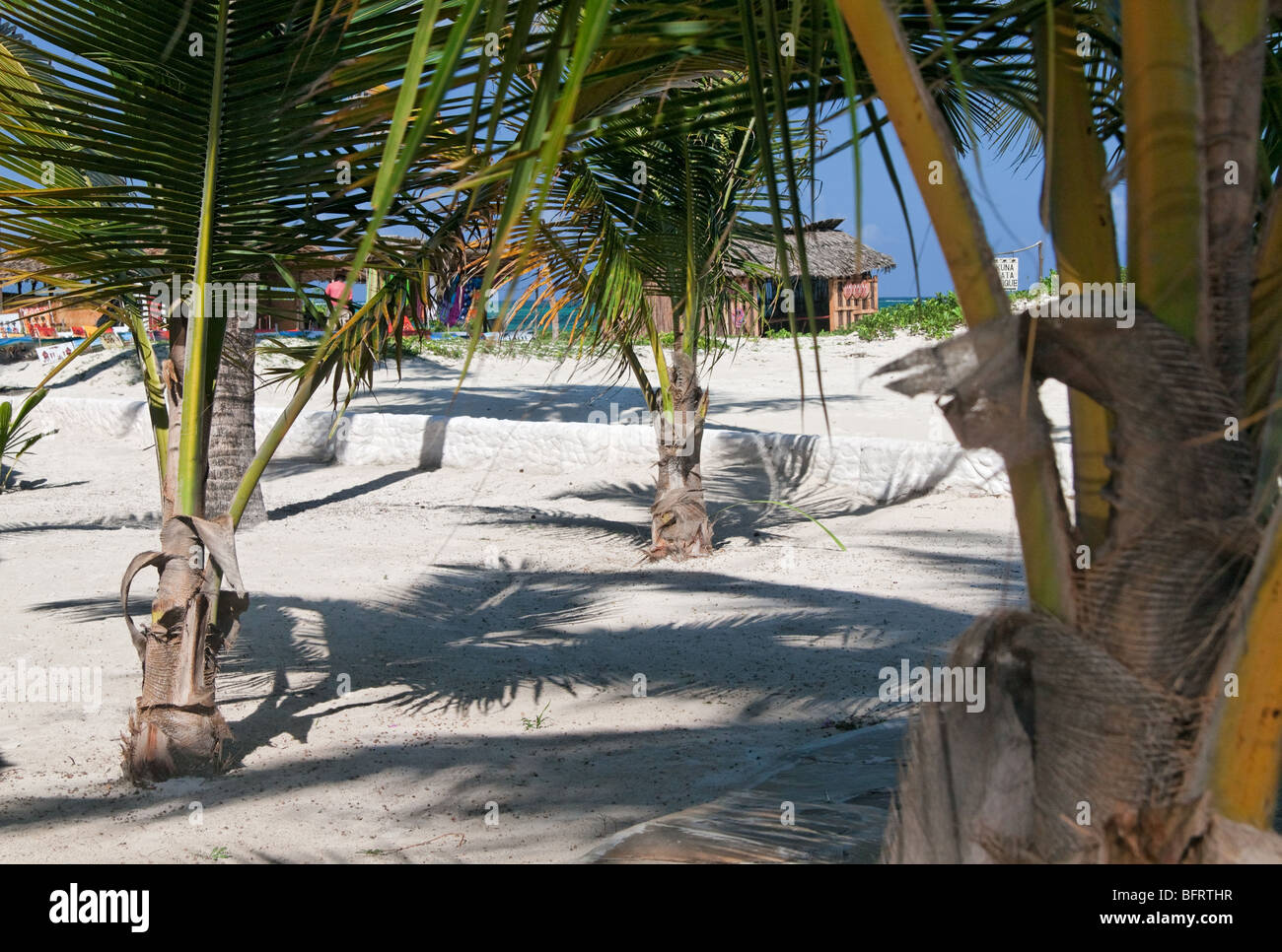 Kenya Mombasa Africa destination palm paradise landscape ocean sea tree ...
