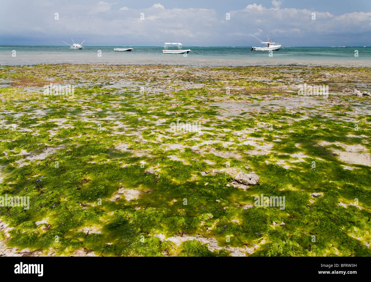 Kenya Mombasa Africa sky sand vacation beach sea ocean blue seashore ...