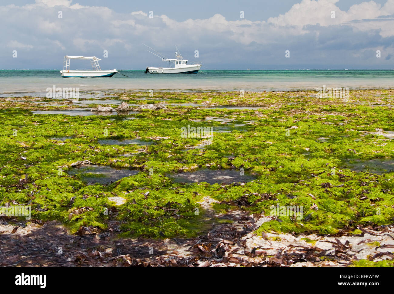 Kenya Mombasa Africa sky sand vacation beach sea ocean blue seashore ...