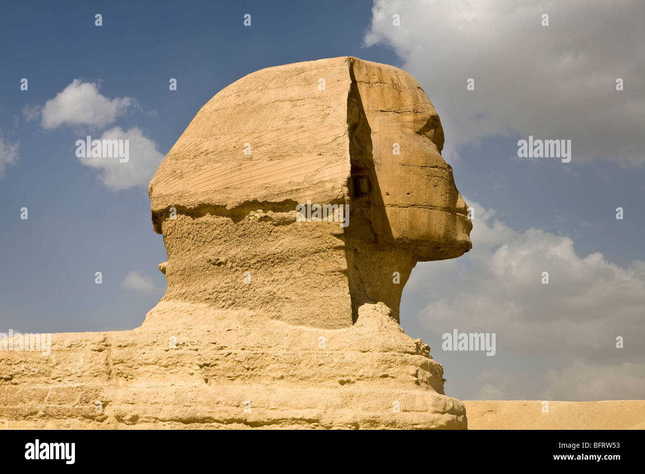 Close up shot of head detail, the Great Sphinx at Giza, Cairo, Egypt ...