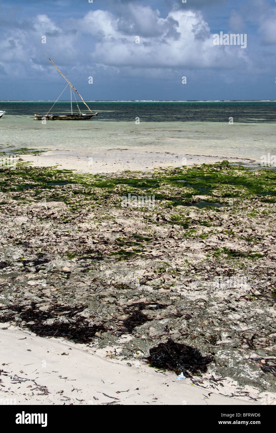 Kenya Mombasa Africa ocean nature sand seashore waves sky coastline sea ...