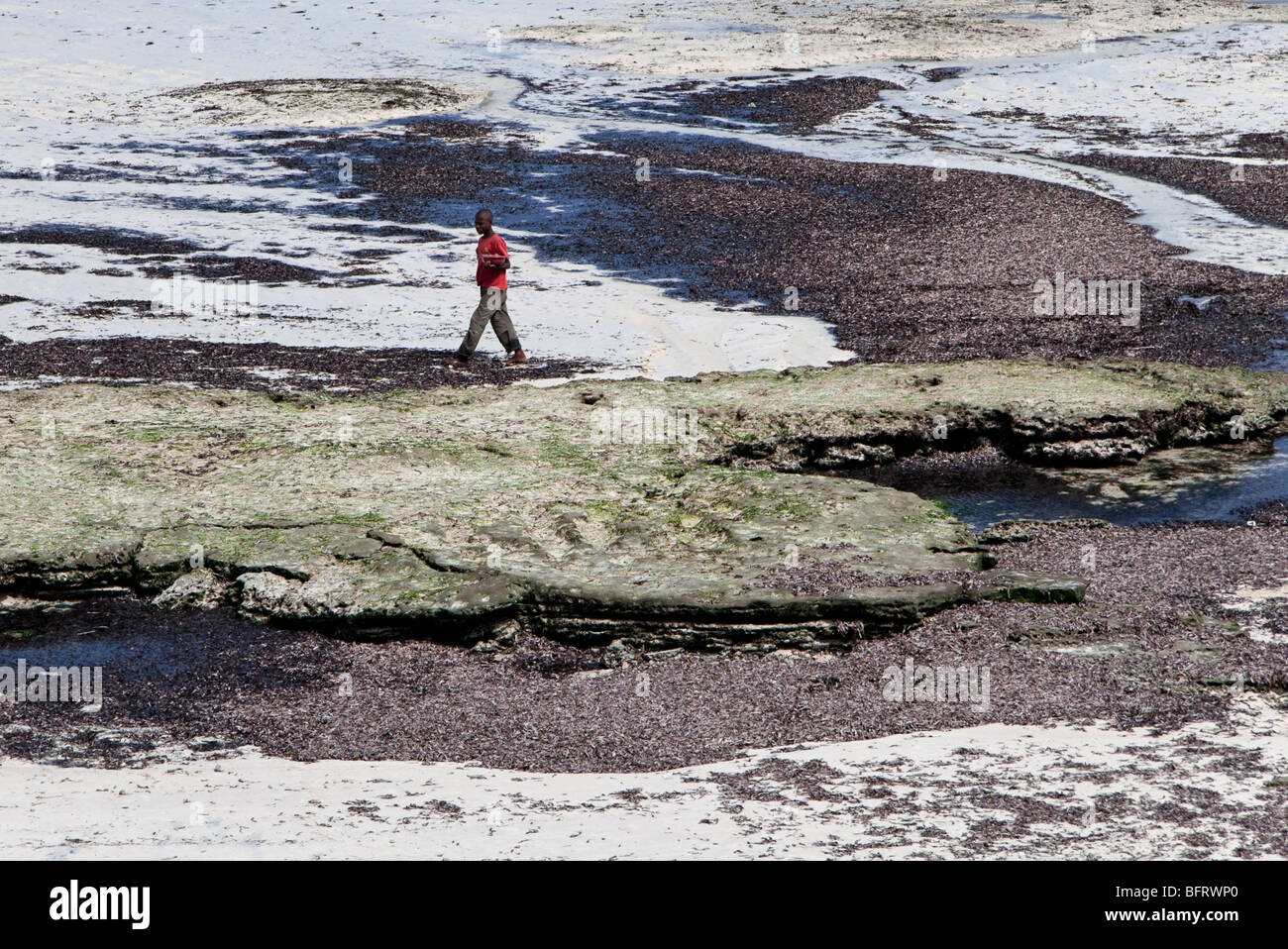 Kenya Mombasa Africa ocean nature sand seashore waves sky coastline sea ...
