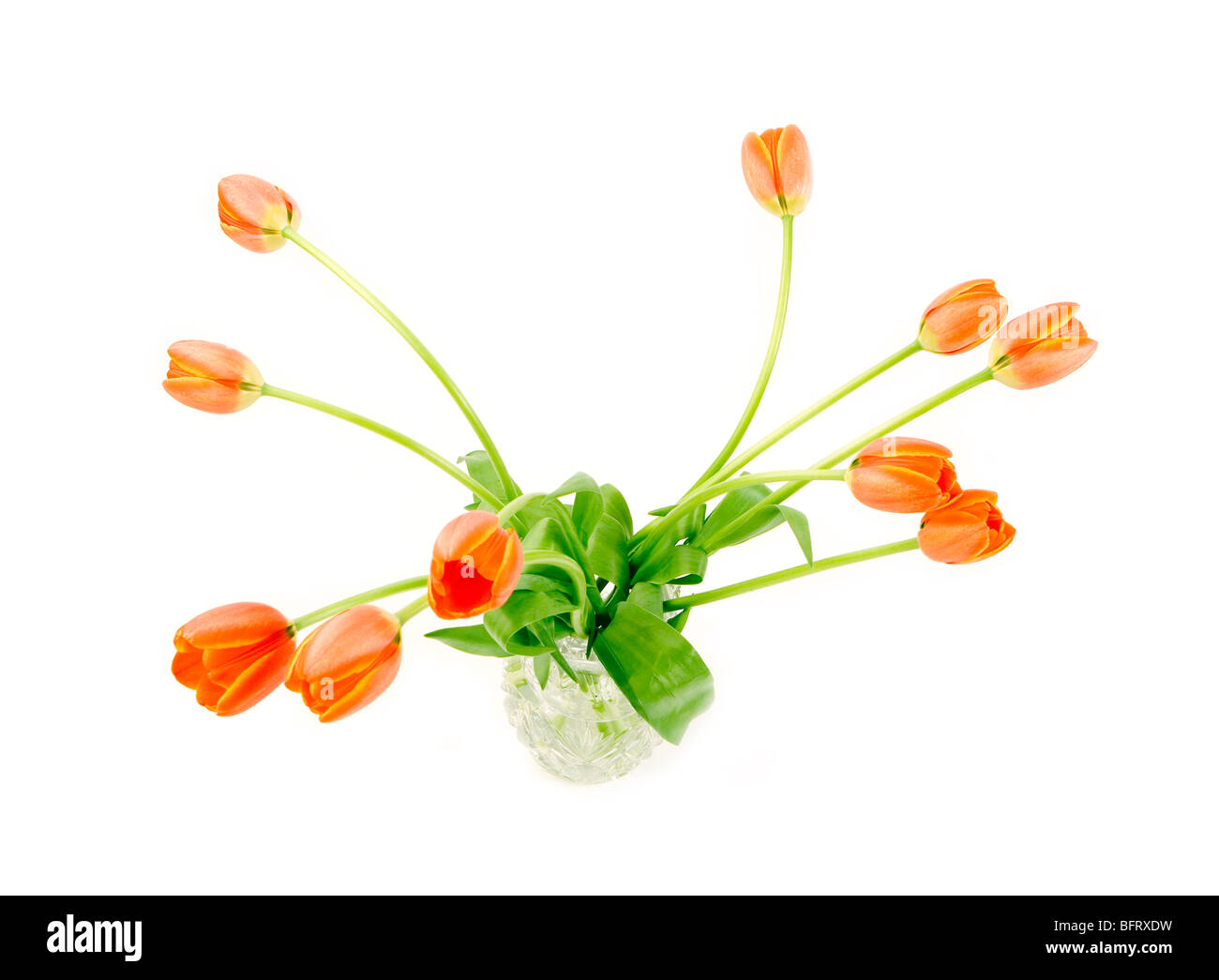tulips in vase from above Stock Photo - Alamy