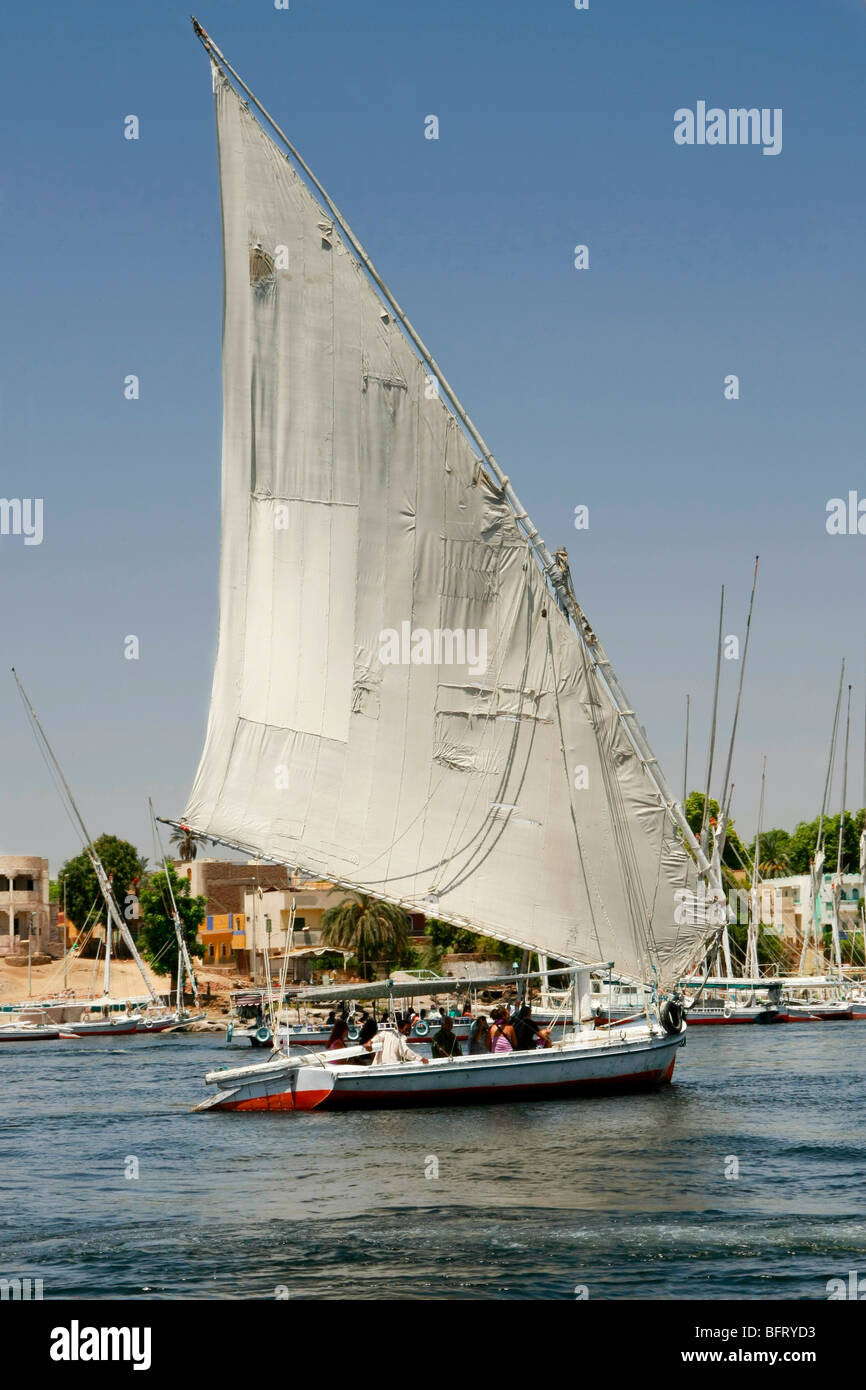 Felucca sailing at Aswan, Egypt Stock Photo - Alamy