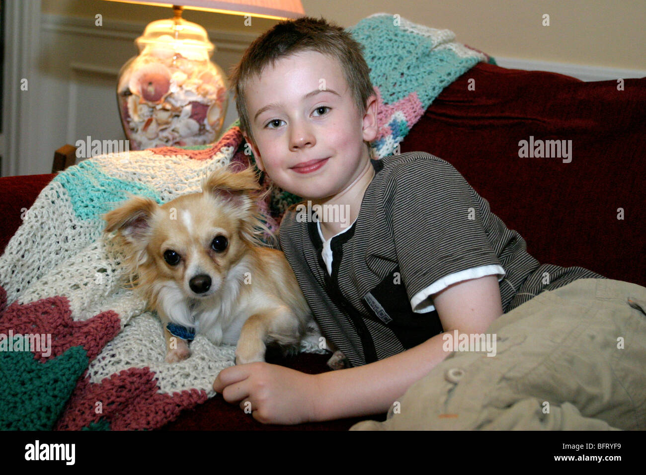 young boy with pet dog Stock Photo - Alamy