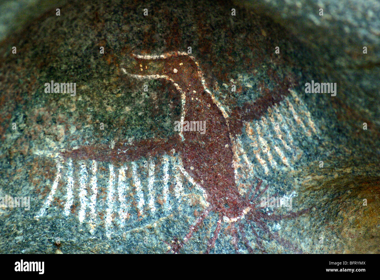 Aruba, Arikok National Park Arawak Drawings at Fontein Cave Stock Photo ...