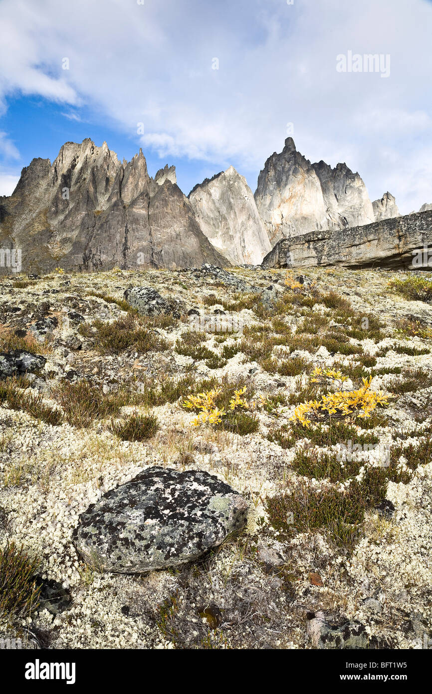 Mt. Monolith, Tombstone Territorial Park, Yukon, Canada Stock Photo - Alamy