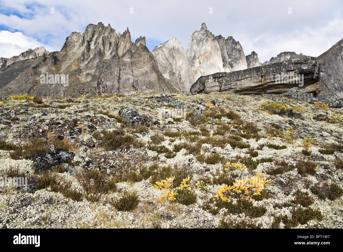 Mt. Monolith, Tombstone Territorial Park, Yukon, Canada Stock Photo - Alamy