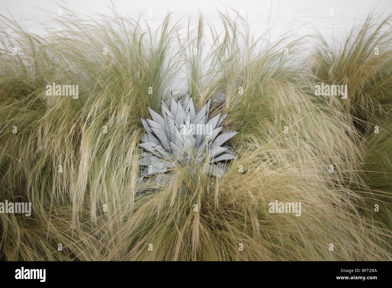 Marfa texas desert hi-res stock photography and images - Alamy