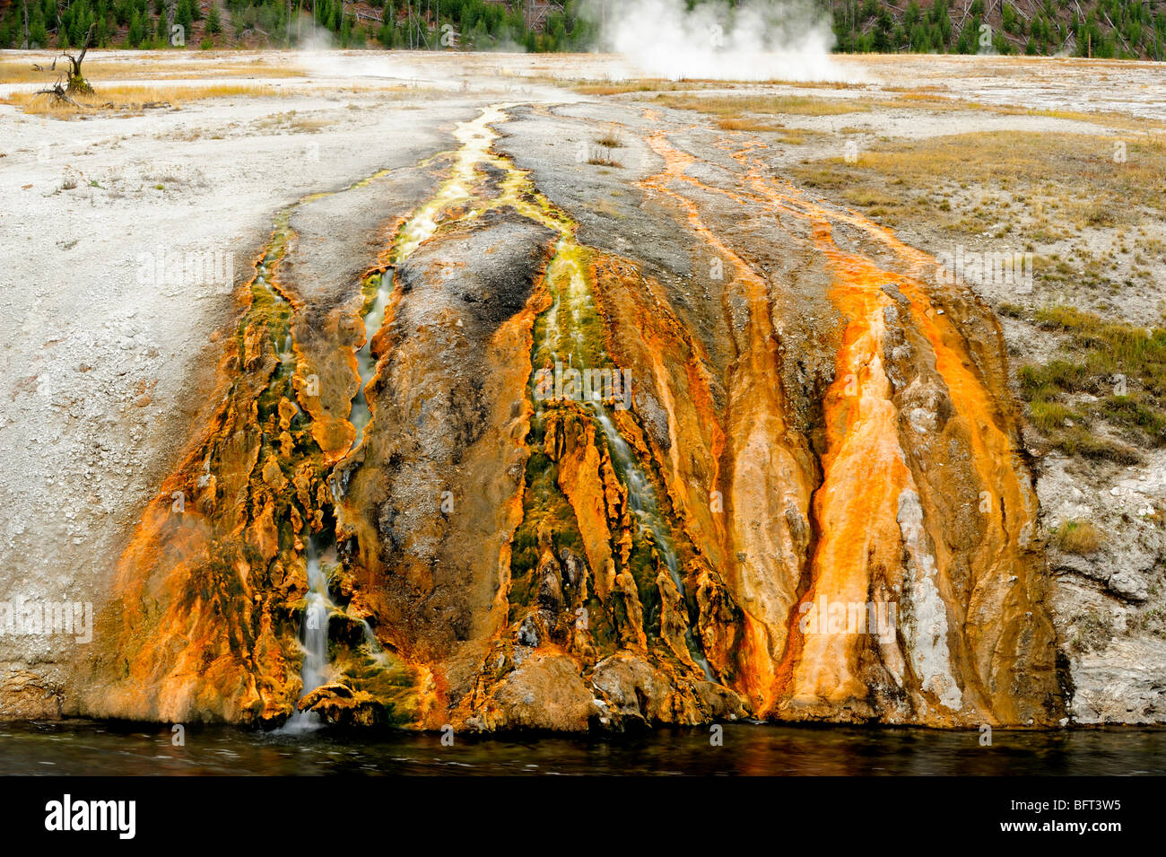 Hot spring runoff and travertine deposits along the Firehole River ...