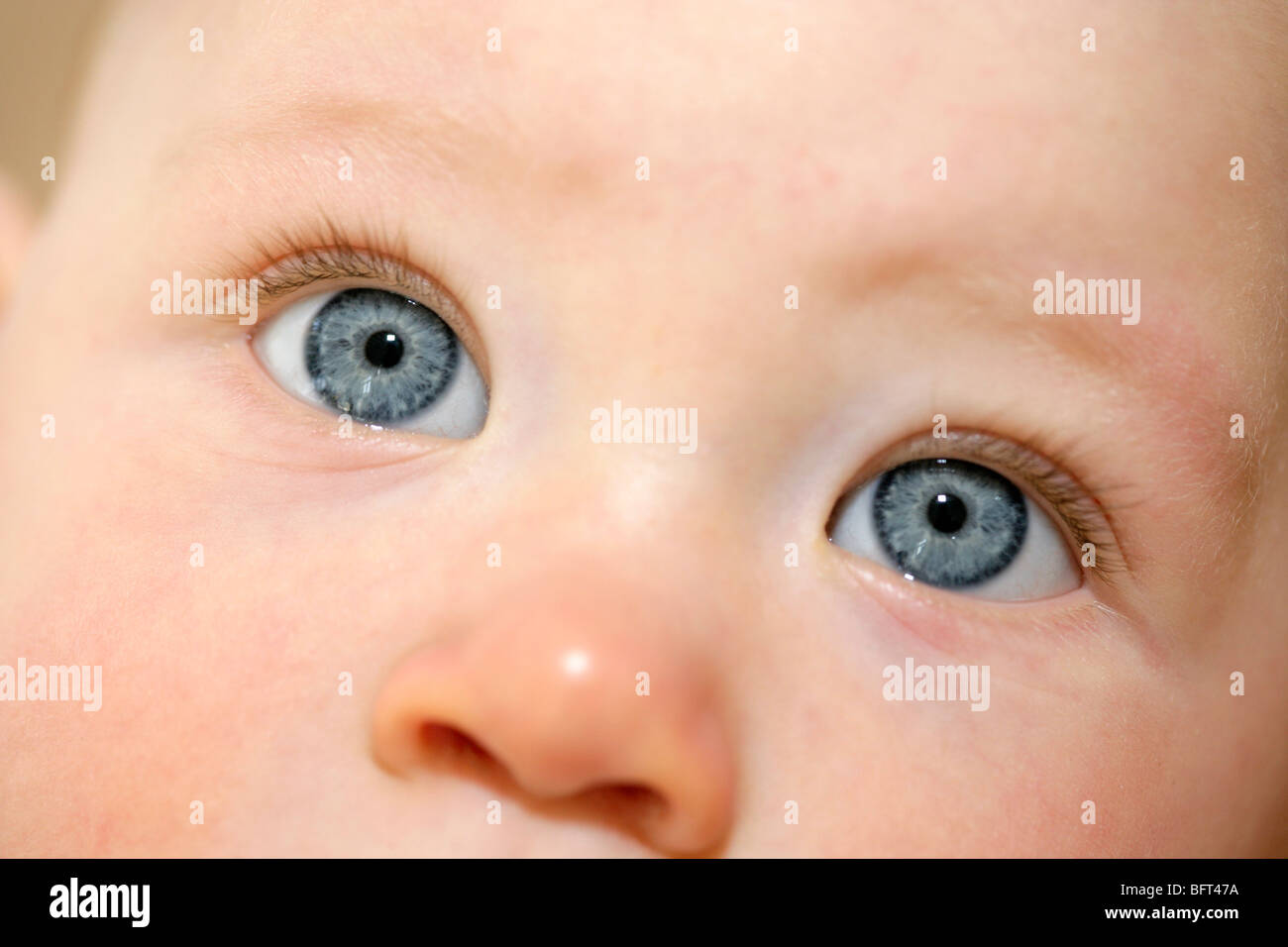 Close-up of Baby's Eyes Stock Photo - Alamy