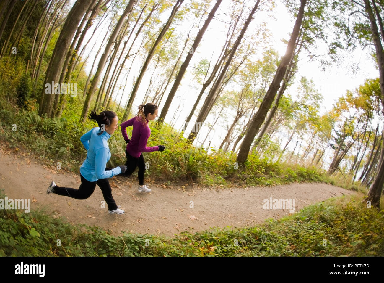 Women Running on Forest Trail, Seattle, Washington, USA Stock Photo - Alamy