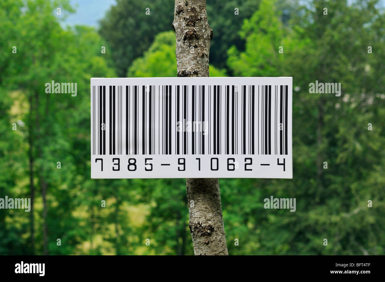 Barcode on Tree Stock Photo - Alamy
