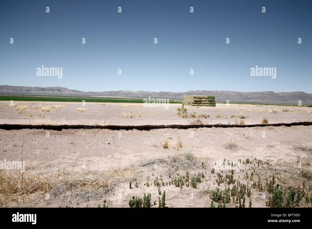 Valentine texas hi-res stock photography and images - Alamy