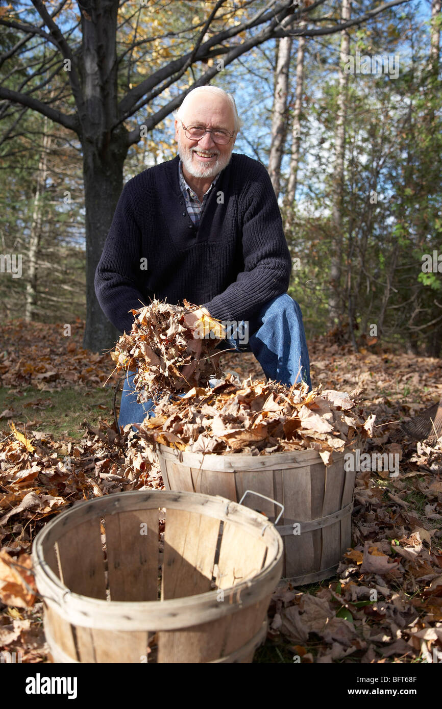 Man Raking Leaves Stock Photo - Alamy