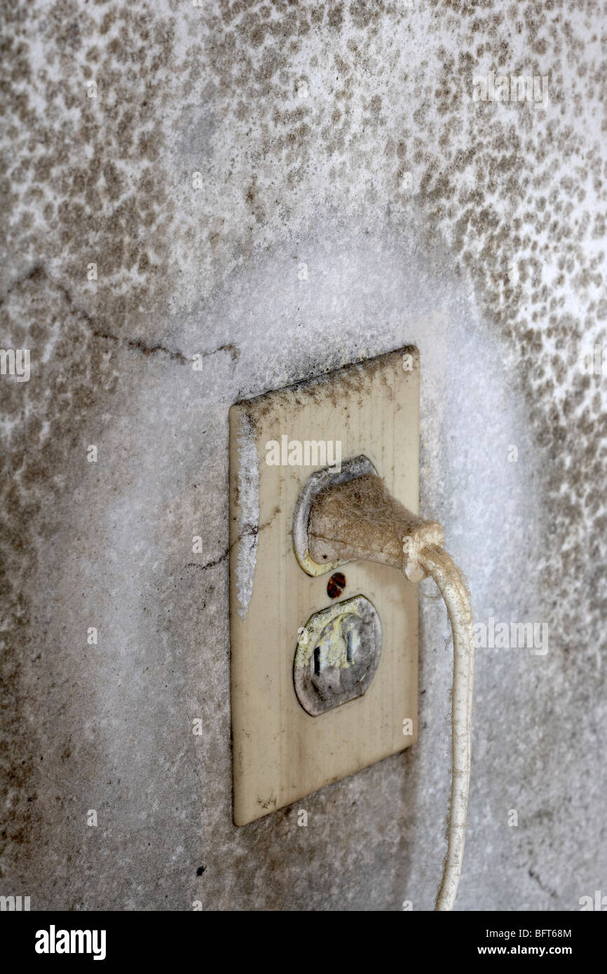 Electrical Outlet in Moldy Wall Stock Photo - Alamy