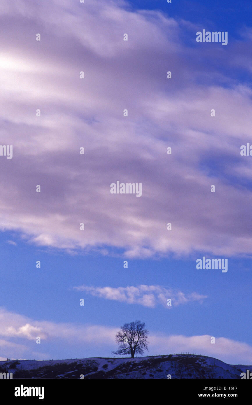 Lethbridge, alberta hi-res stock photography and images - Alamy