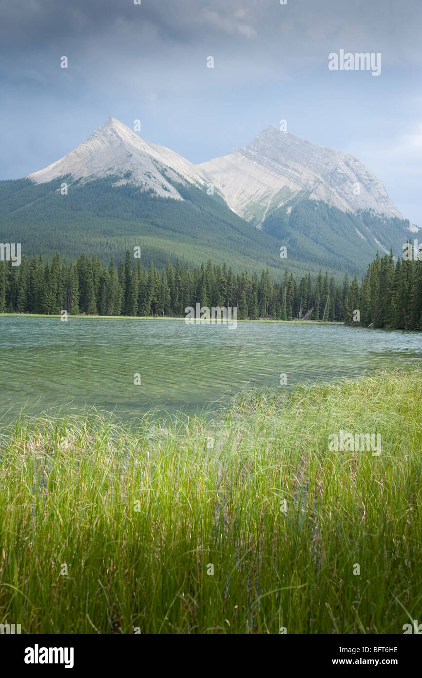 Storm Over Beaver Lake, Queen Elizabeth Ranges, Jasper, Alberta, Canada ...