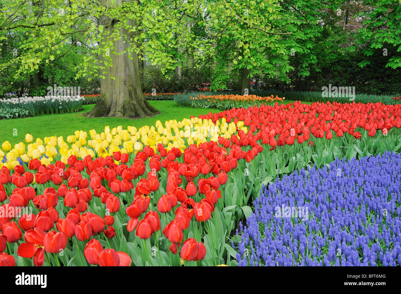 Keukenhof Gardens, Lisse, Holland Stock Photo - Alamy