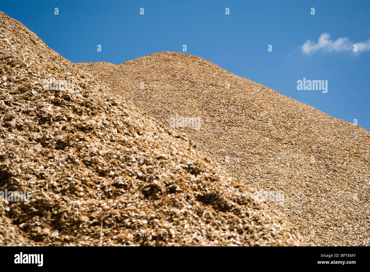 Wood pulp paper hi-res stock photography and images - Alamy