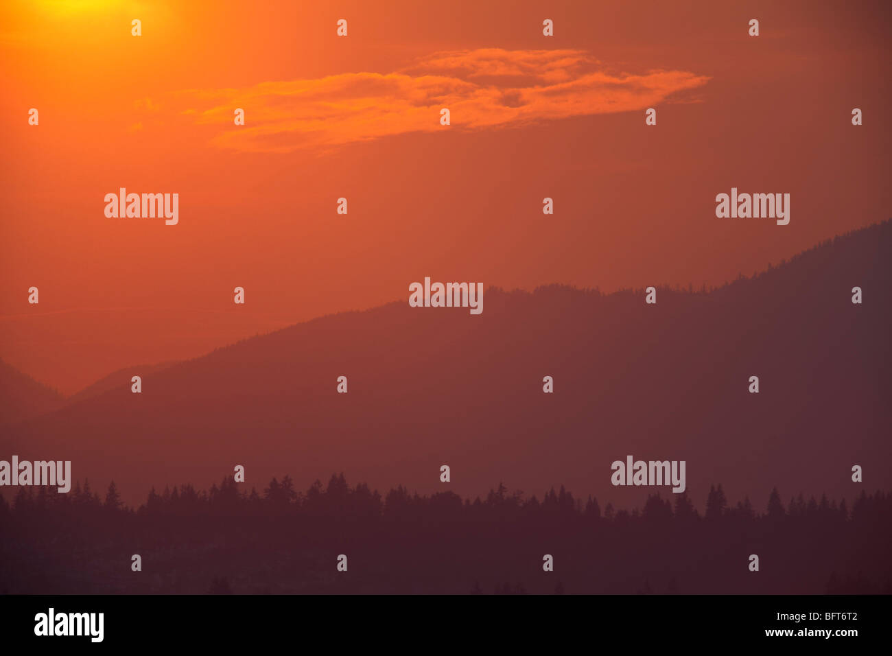 Monochromatic sunset hi-res stock photography and images - Alamy