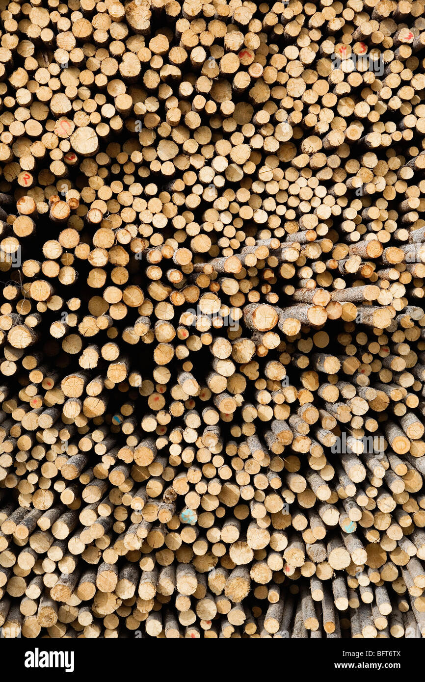 Grant Williams High Resolution Stock Photography and Images - Alamy