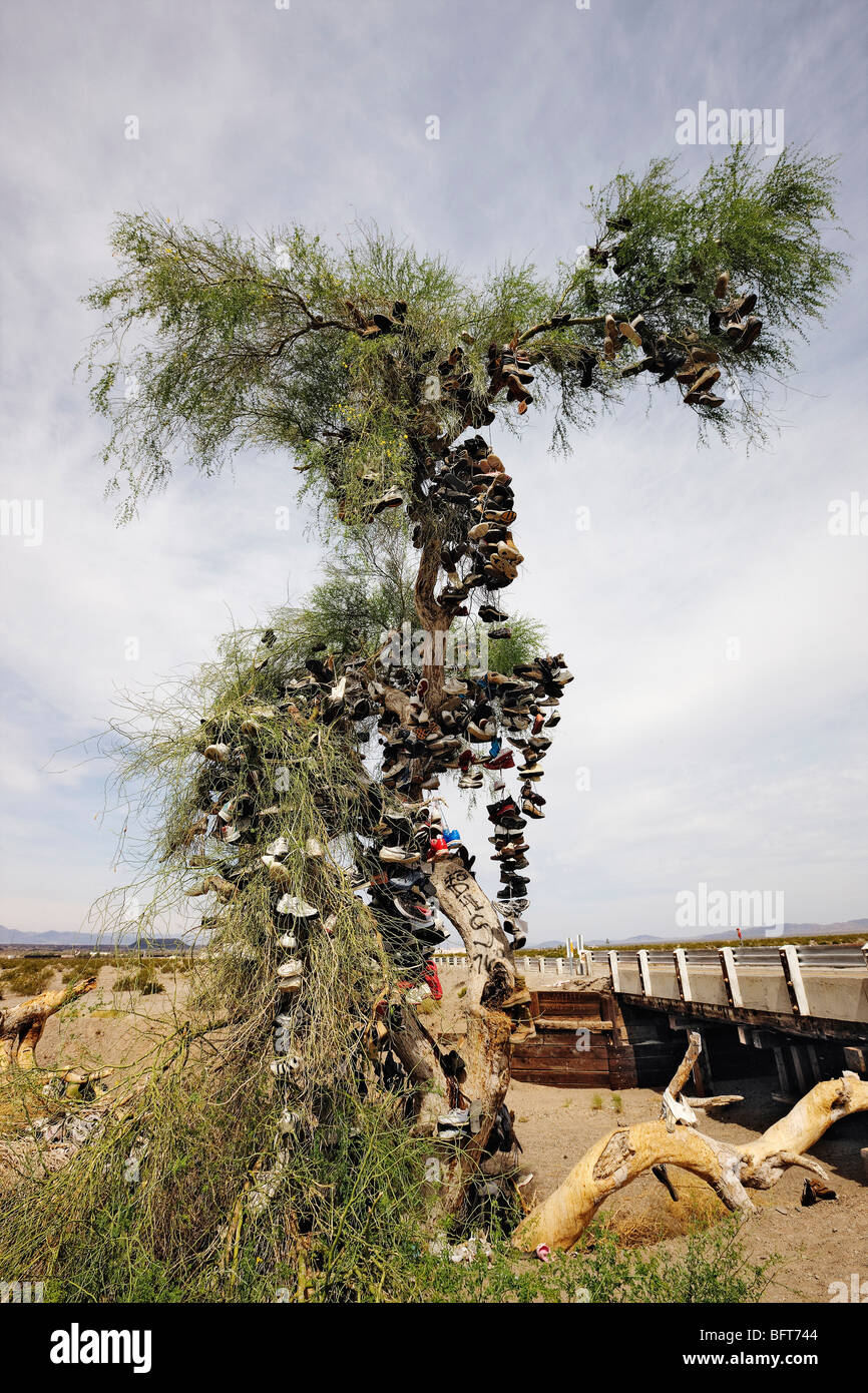The Amboy Shoe Tree, Near Amboy, California, USA Stock Photo - Alamy