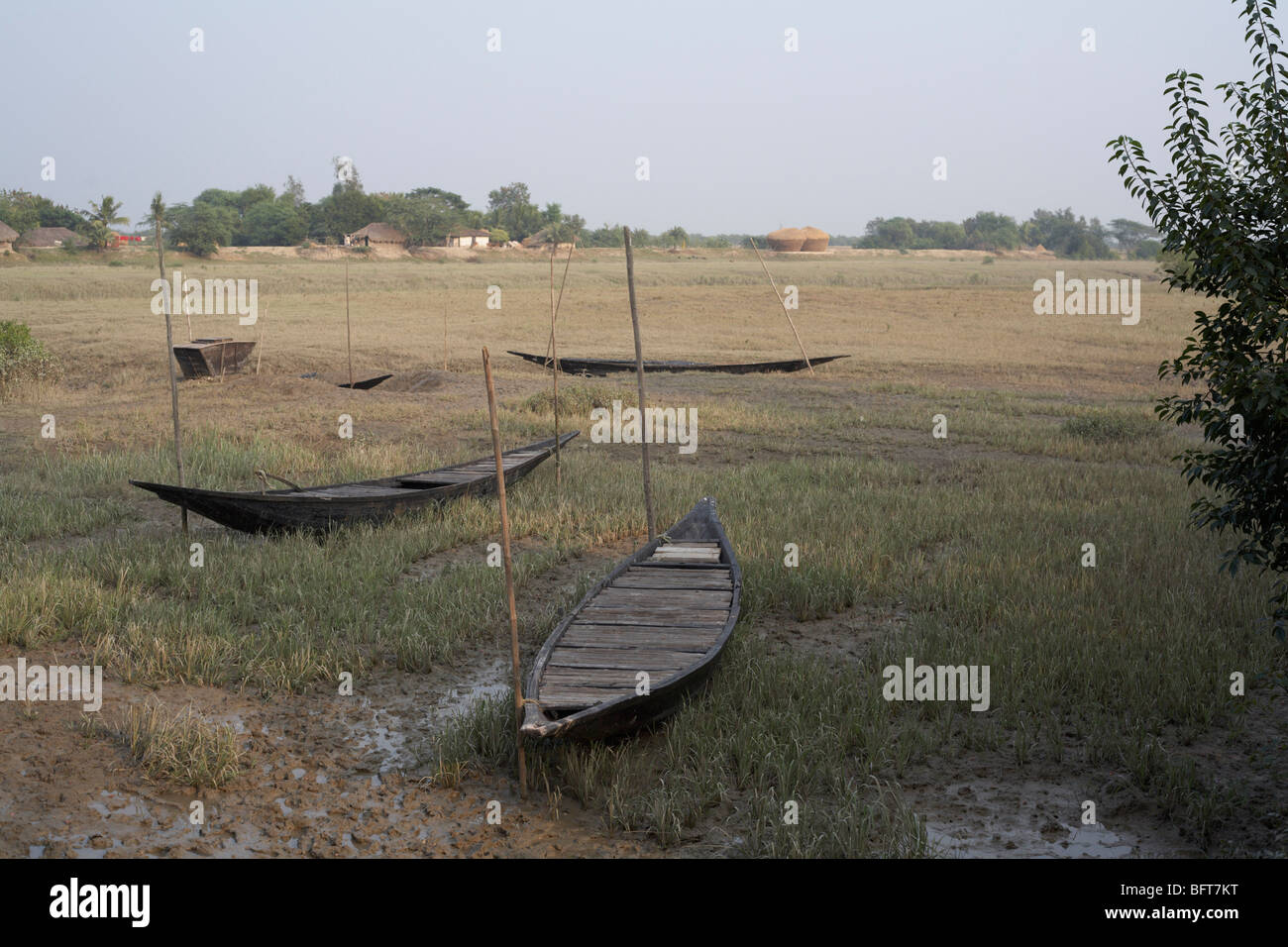 Sarah marsh hi-res stock photography and images - Alamy