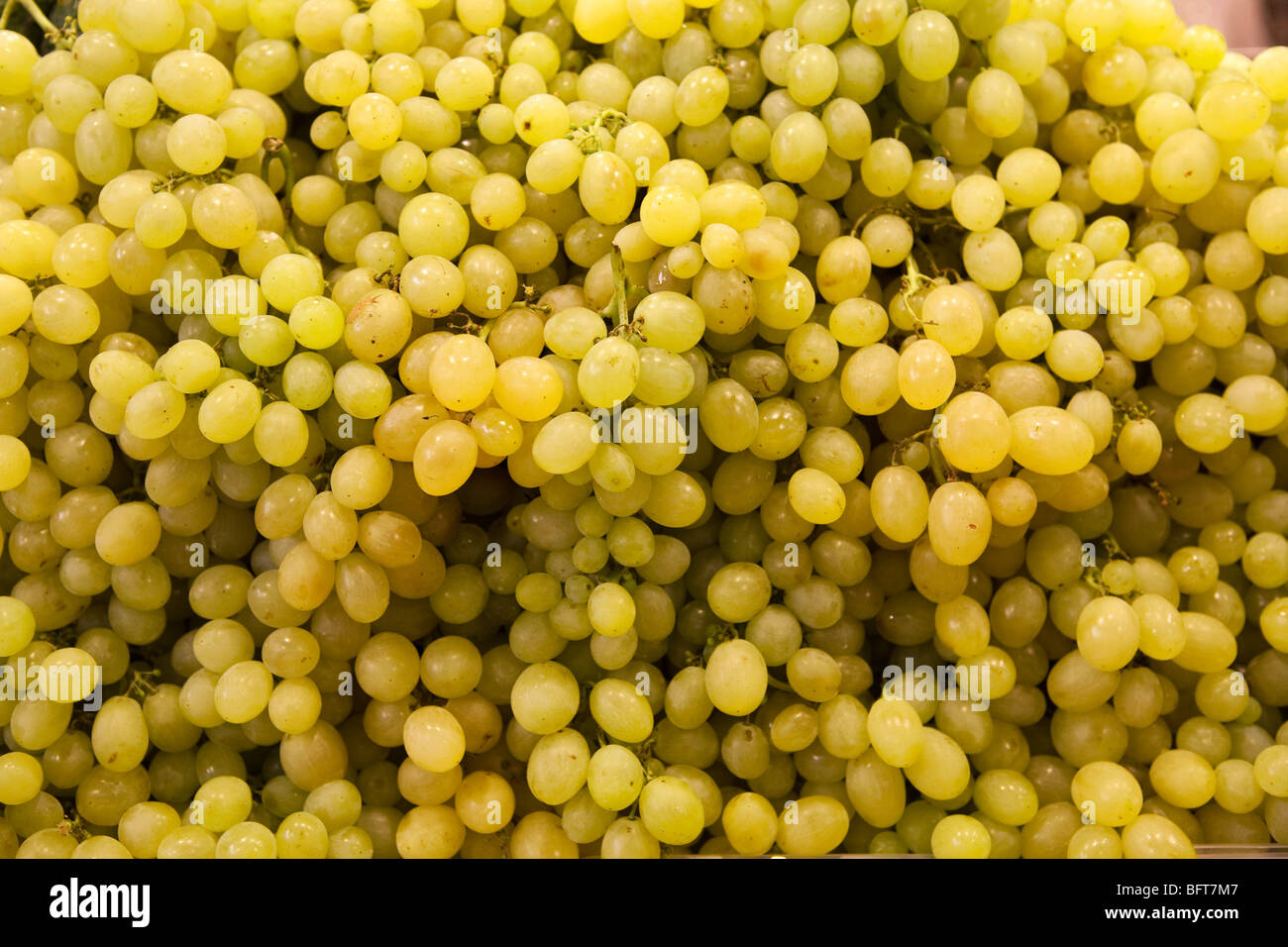 Green grapes images hi-res stock photography and images - Alamy