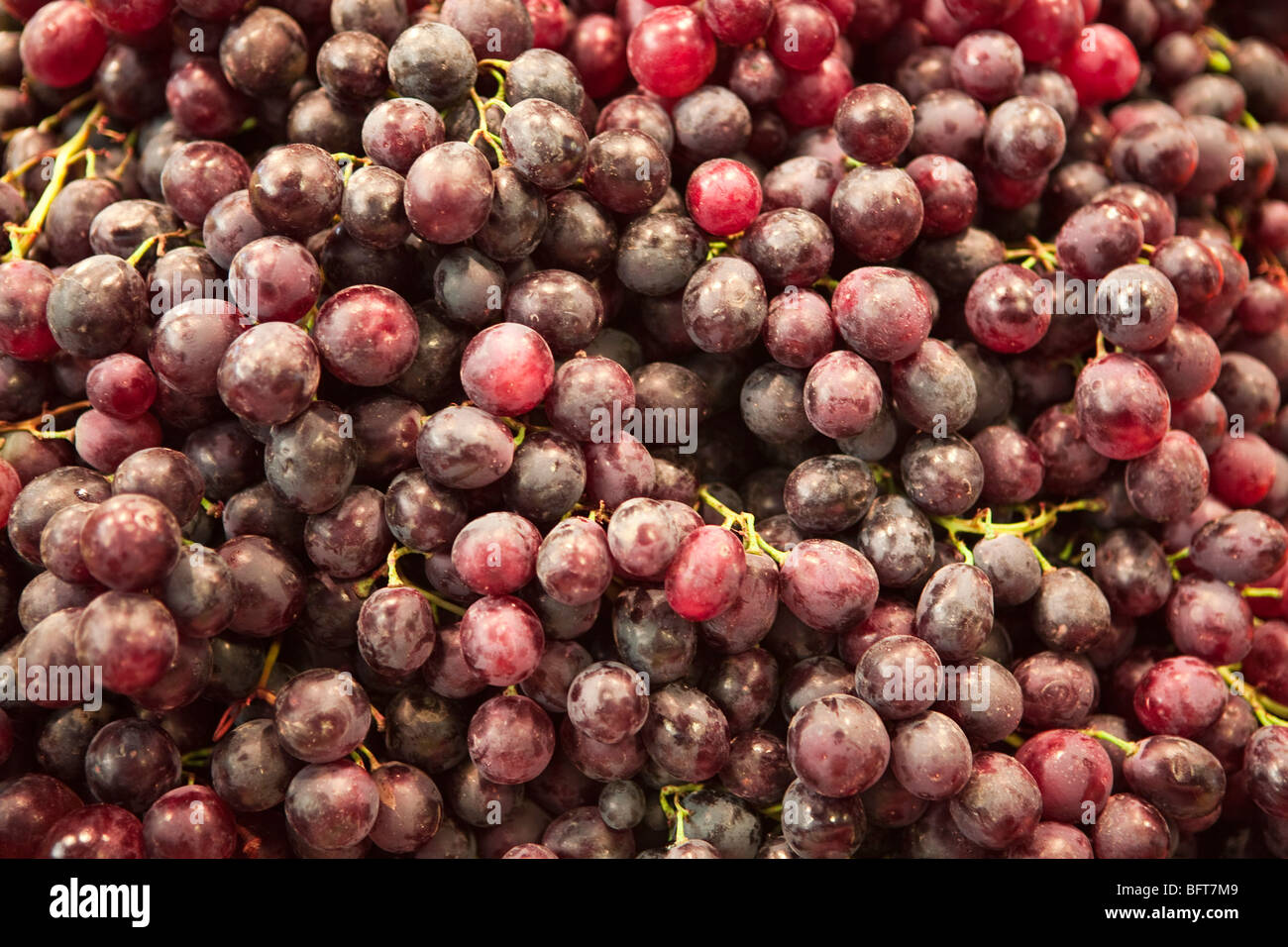 Grapes in open air hi-res stock photography and images - Alamy
