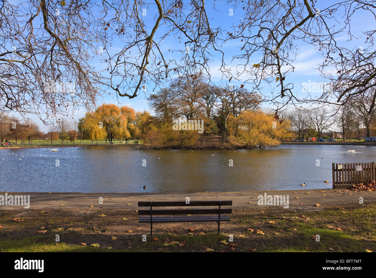 Mount Pond and island late autumn, Clapham Common, Clapham, London UK ...