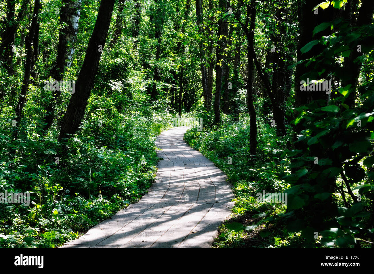 Scenic walk through european park hi-res stock photography and images ...