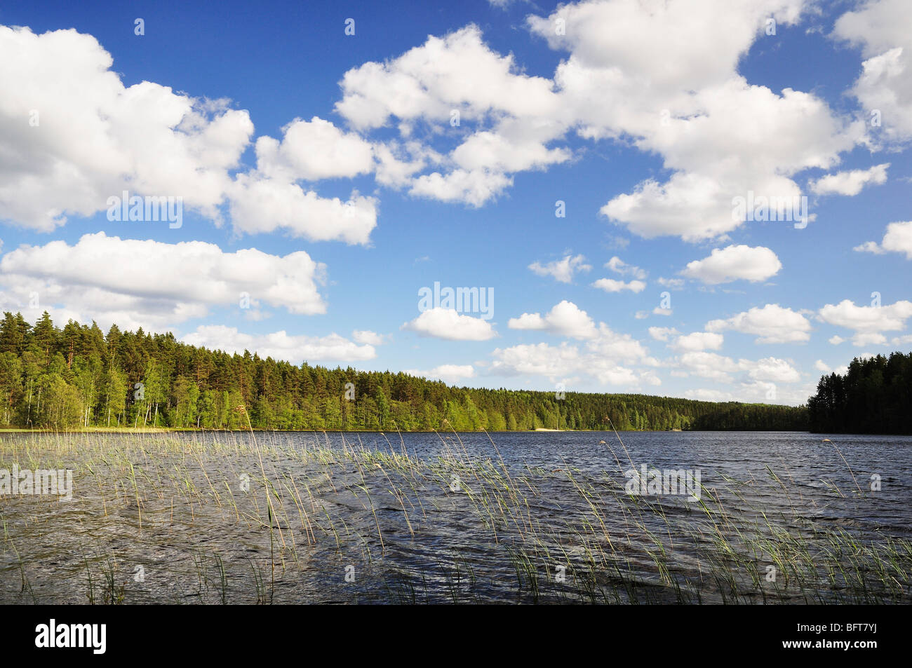 Vattern lake hi-res stock photography and images - Alamy