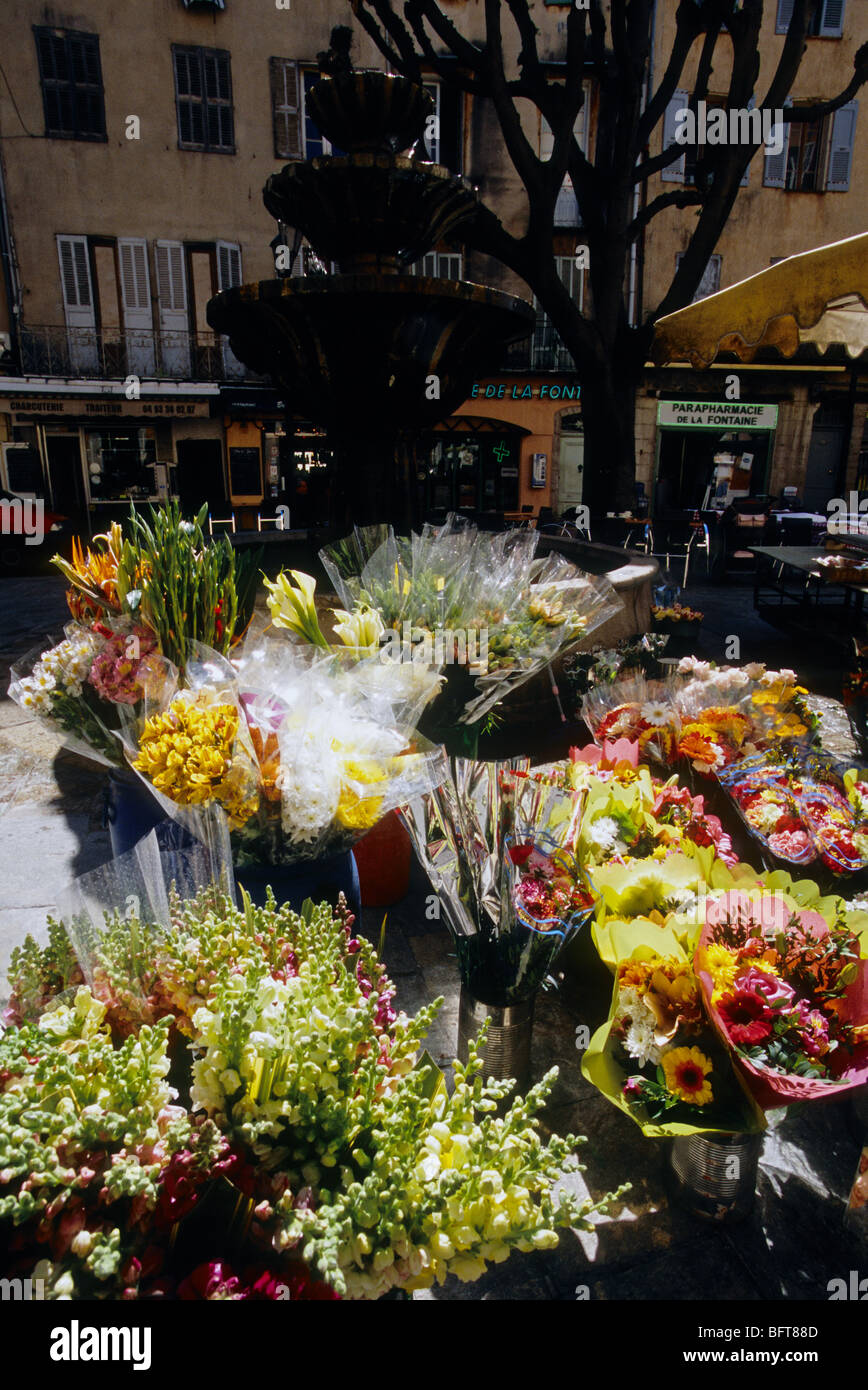 Grasse france flower hi-res stock photography and images - Alamy