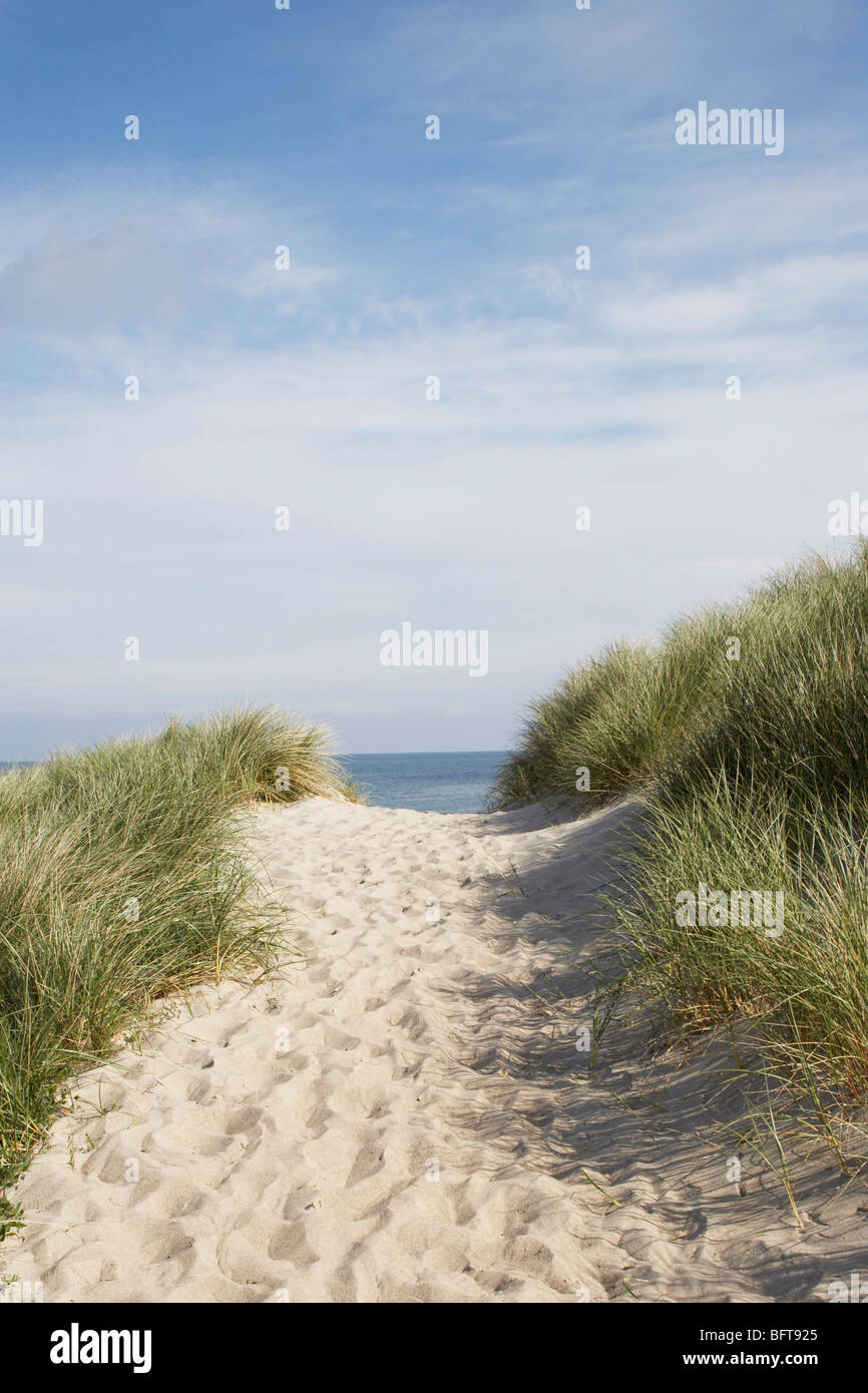 Path in Sand at Beach, Vorupoer, Jylland, Denmark Stock Photo - Alamy