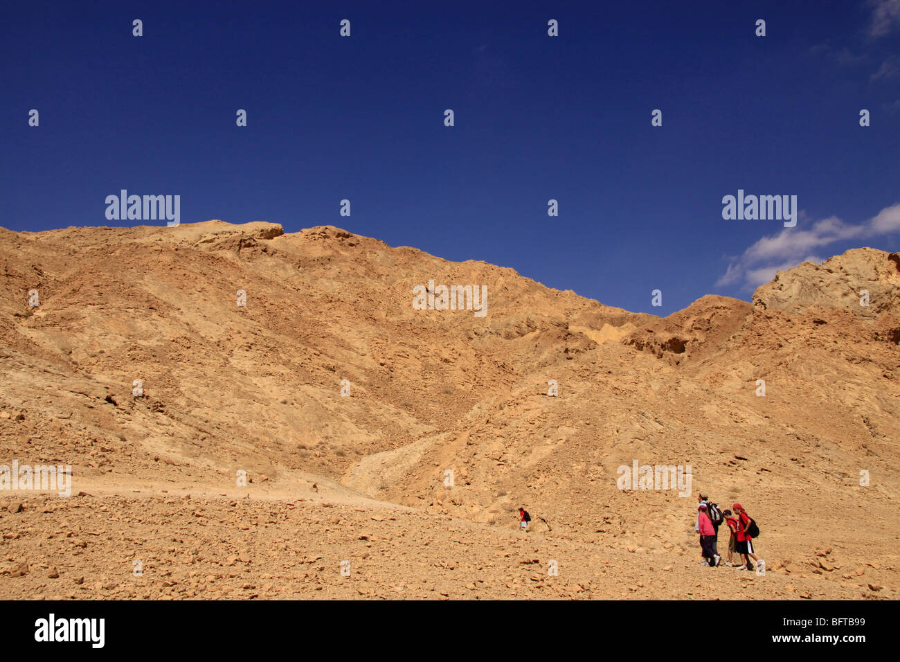 Israel, Negev, the way to the Ammonite Wall in Ramon Crater Stock Photo ...